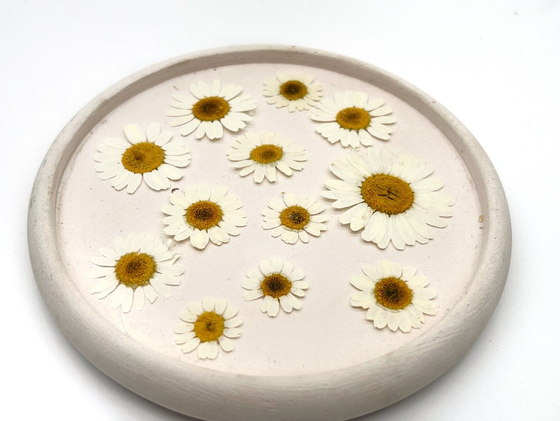 Daisies Pressed Flowers, Real Daisies, Edible Flowers, Dried Flowers ...