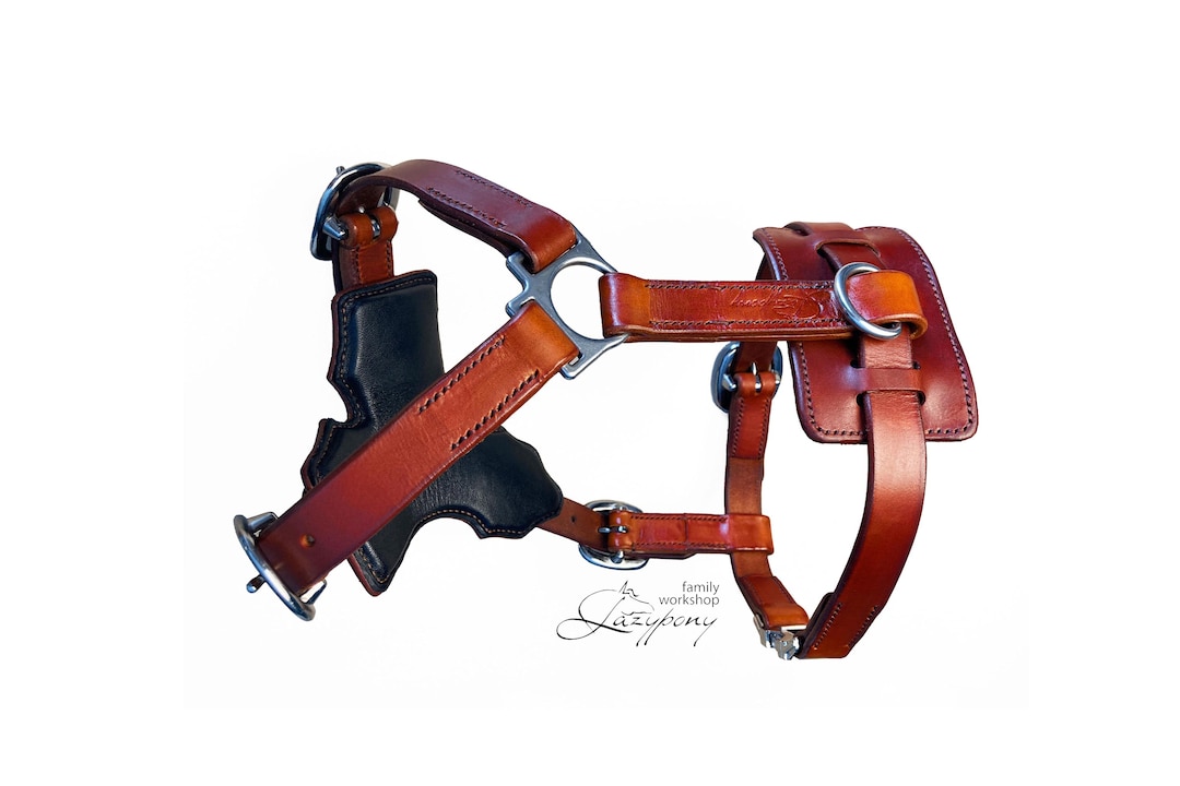 Handcrafted Leather Dog Harness Lazypony, Anatomic H-shape, Large Dog ...
