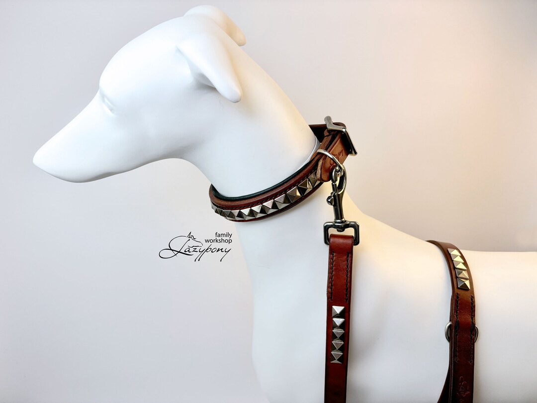 Clincher Leather Dog Collar Lazypony With Lead, Studded Collar and ...