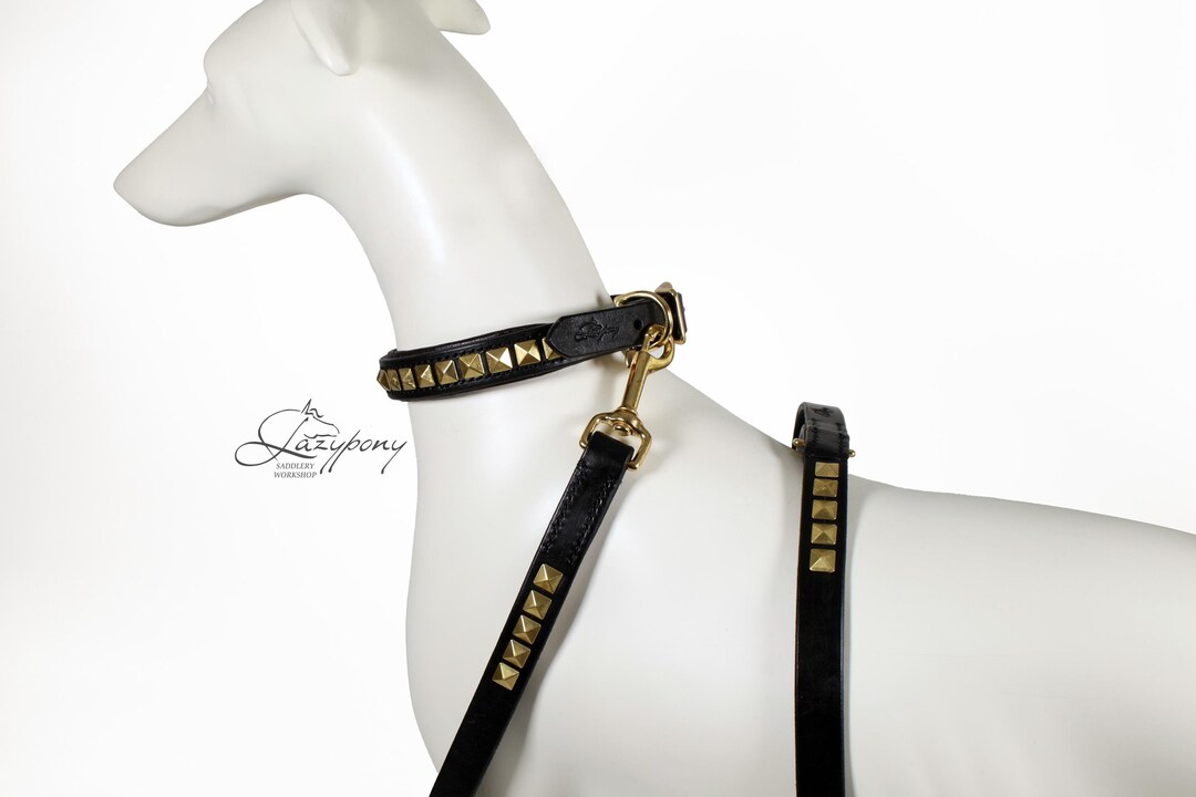 Clincher Leather Dog Collar Lazypony With Lead, Studded Collar and ...