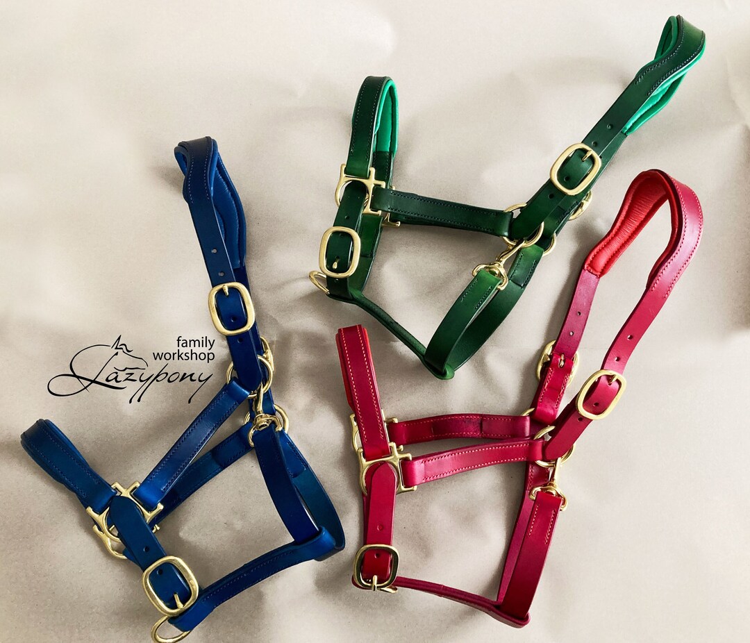Anatomic Leather Horse Halter Lazypony, Halter With Two Buckles ...