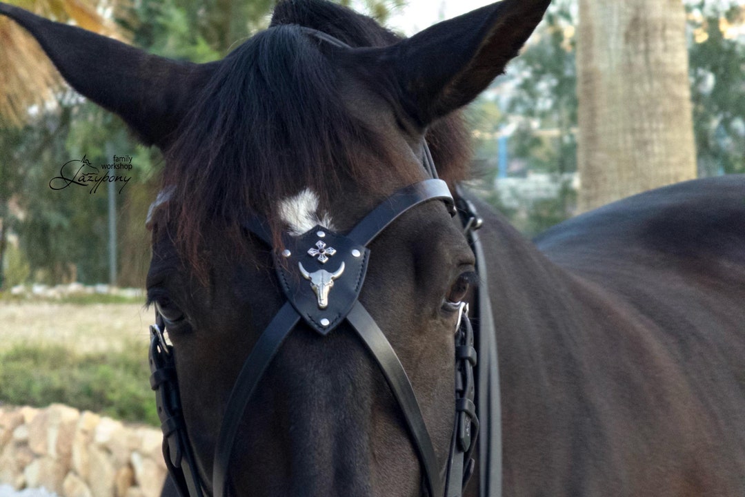 X Browband Gothic Lazypony, Medieval, Fancy Style Browband, Leather ...
