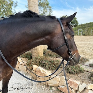 Anatomical French Bridle Lazypony With Reins, Leather Custom Bridle ...