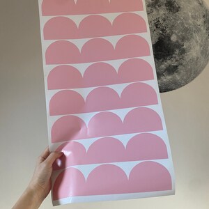 Scallop Edge Stickers - Scallop Edge, Scallops, Wall Stickers, Wall ...