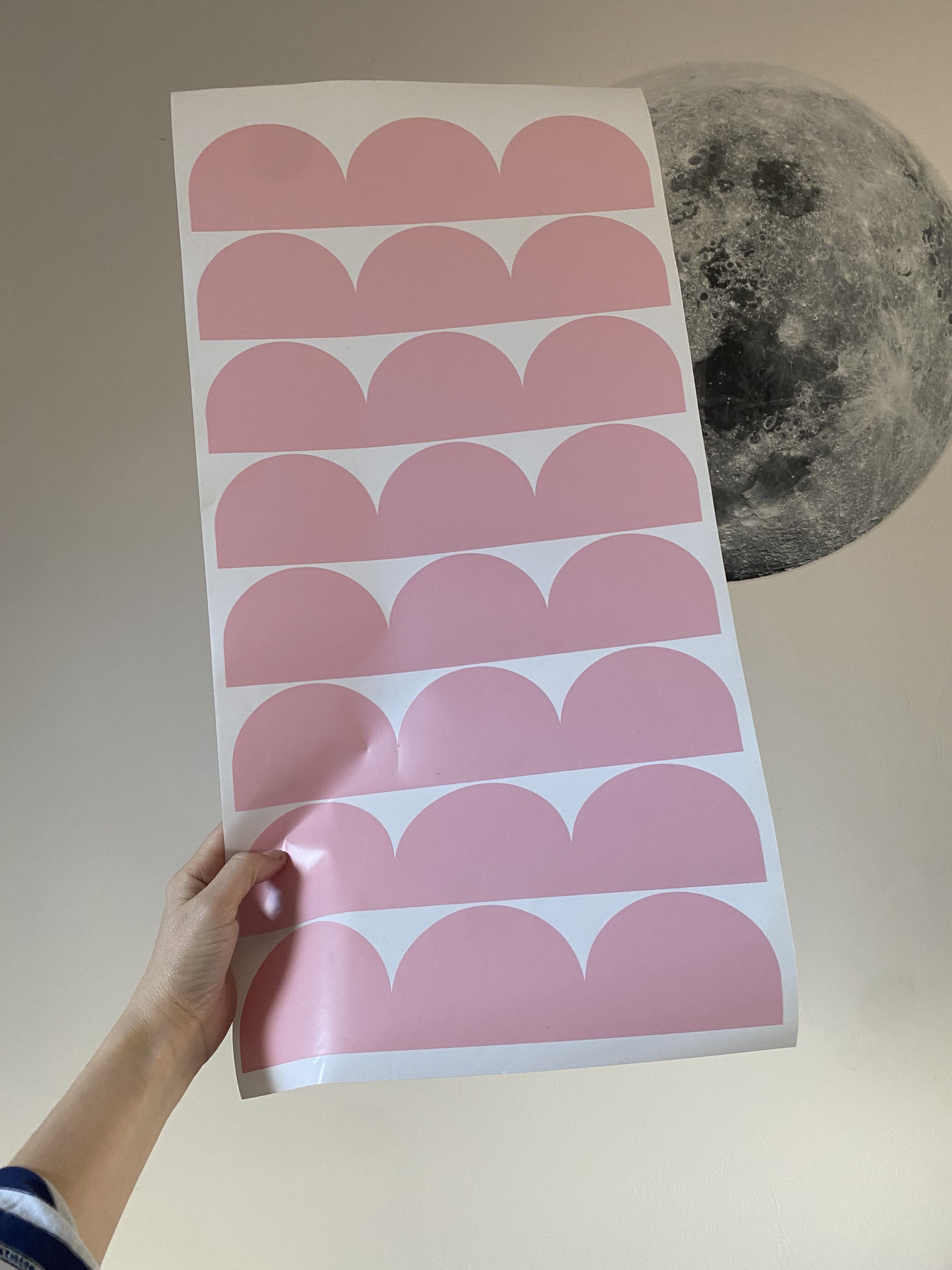 Scallop Edge Stickers - Scallop Edge, Scallops, Wall Stickers, Wall ...