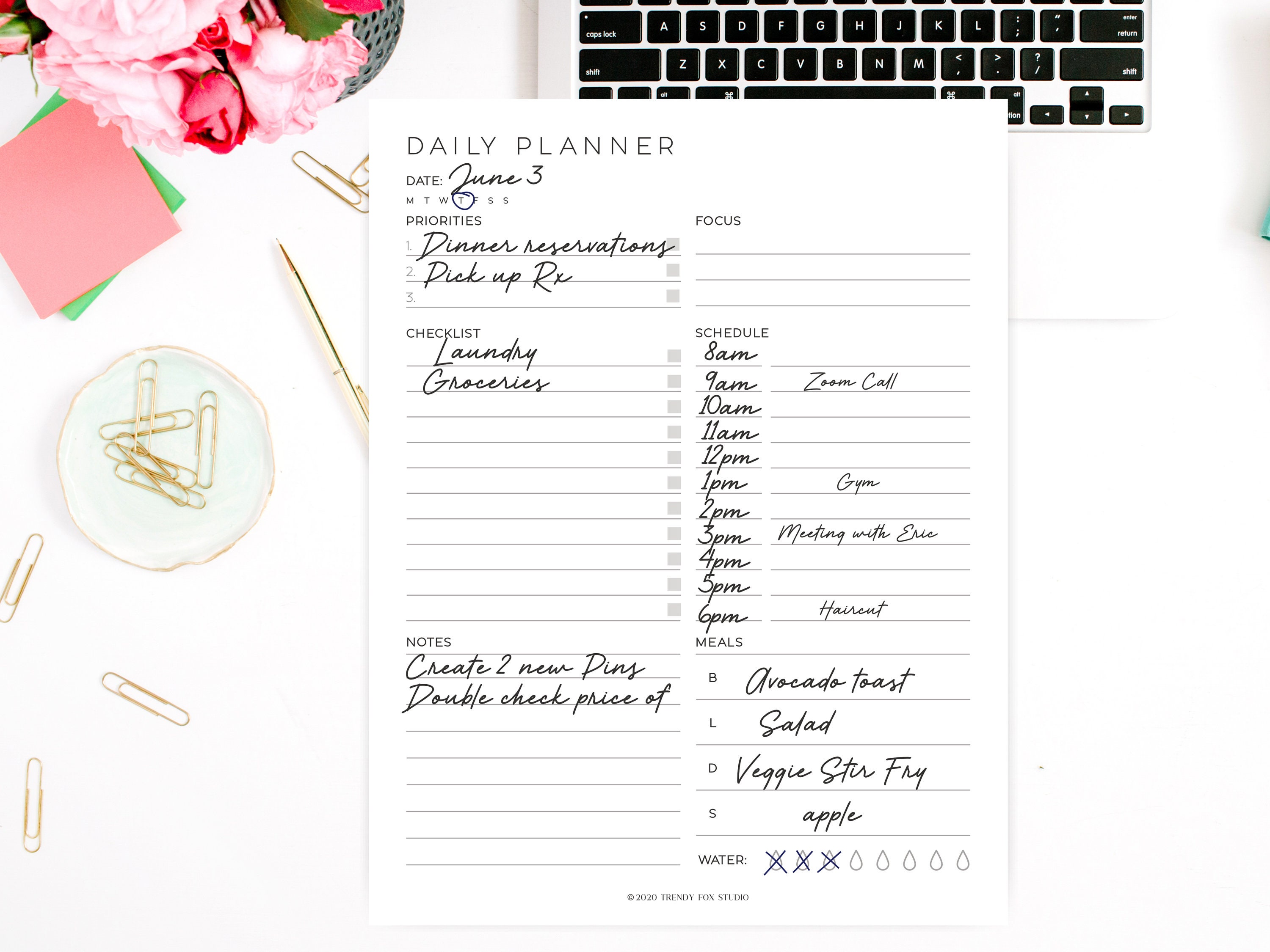 Daily Planner Editable Printable Daily to Do List Day Planner | Etsy