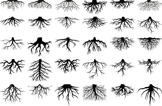 Tree Roots SVG File for Cricut Bundle Collection of Roots | Etsy