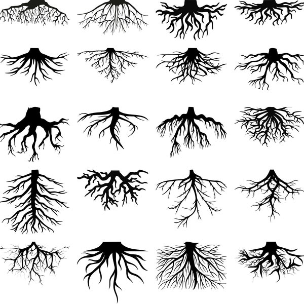 Tree Roots - Etsy