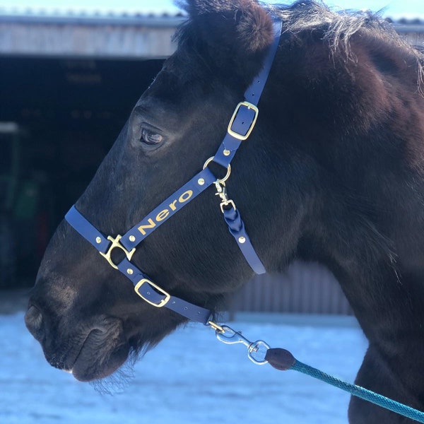 Horse Halter - Etsy