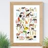 A-Z Countries Around the World Printable Cards With Country Flag and ...