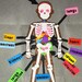 Felt Anatomy for Kids; Body, Organs, Labels, Skeleton - Etsy