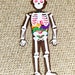 Felt Anatomy for Kids; Body, Organs, Labels, Skeleton - Etsy