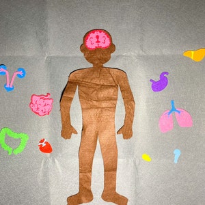 Felt Anatomy for Kids; Body, Organs, Labels, Skeleton - Etsy