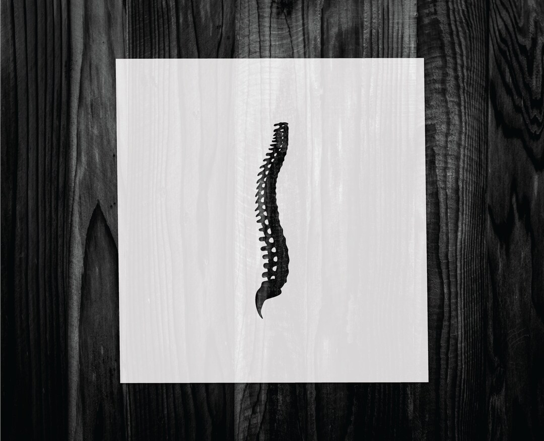 Spine Stencil, Mylar Reusable Stencil, Stencil, FAST SHIPPING - Etsy