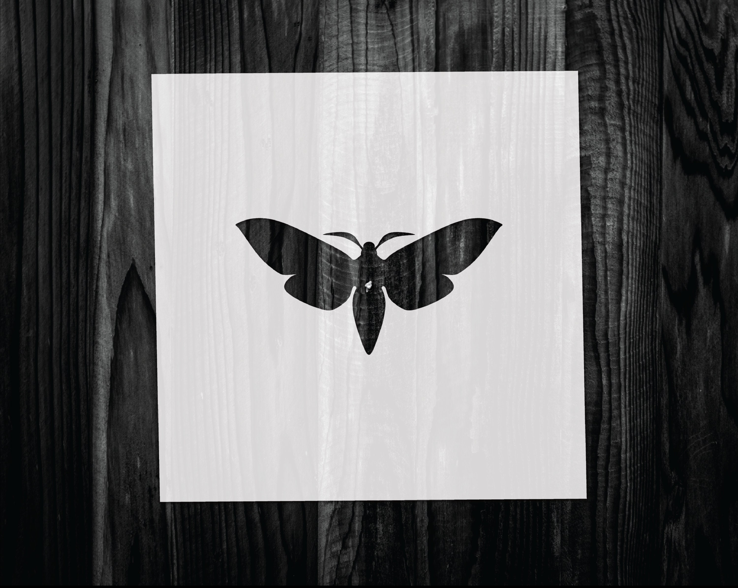 Moth Stencil, Mylar Reusable Stencil, Stencil, FAST SHIPPING - Etsy