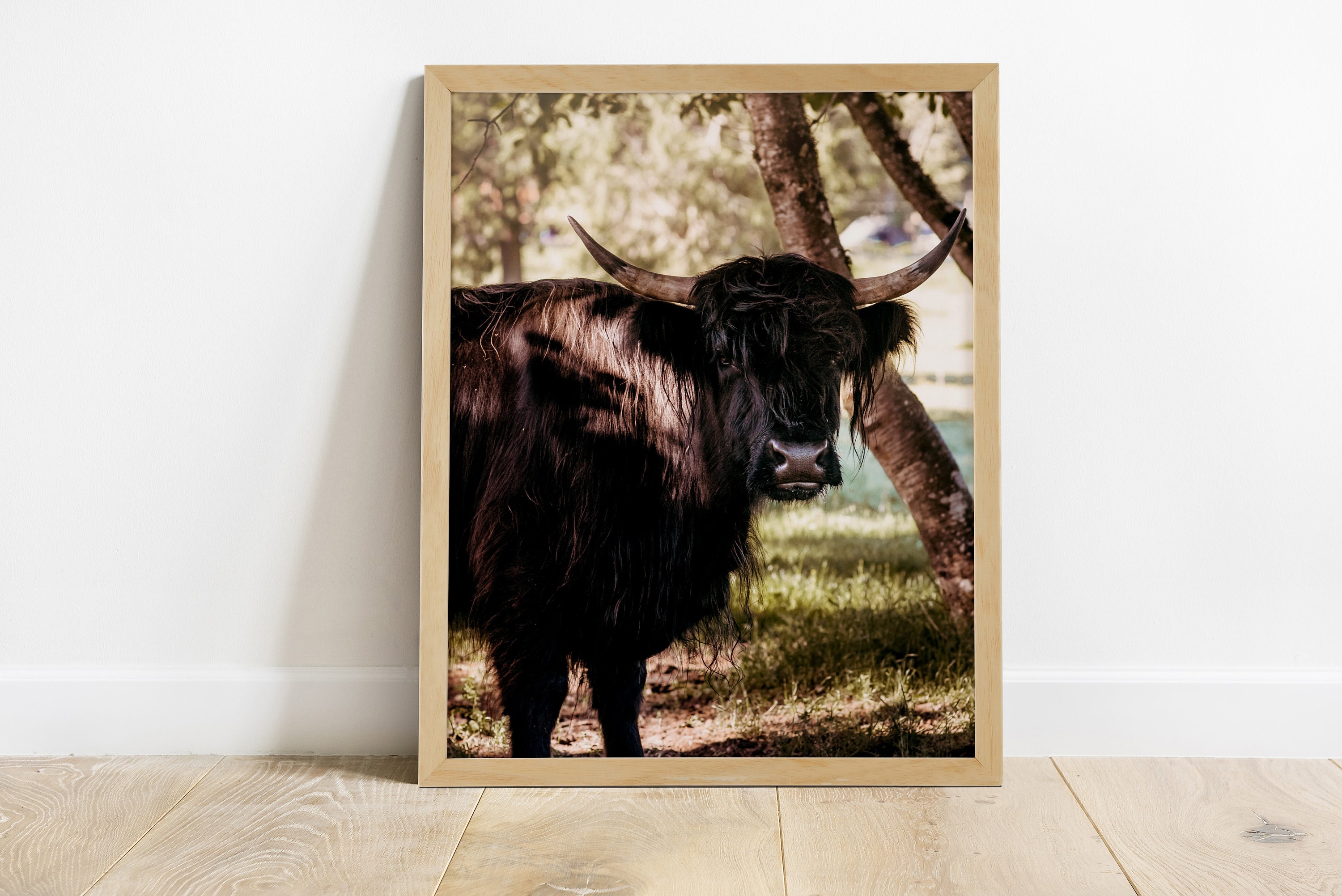 Longhorn Cow Digital Download Cow Art Longhorn Photography Rustic Wall ...