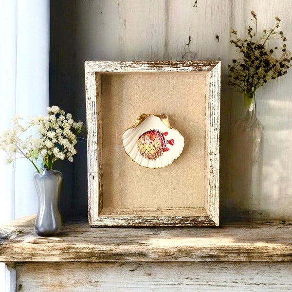 Shell Art Shadow Box - Etsy