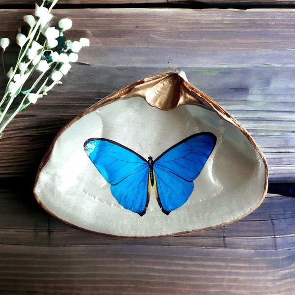 Shell Butterfly - Etsy
