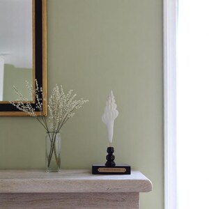 Mounted Shell Sculpture, Sea Shell on Stand, Tropical Shell Display ...