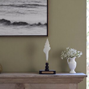 Mounted Shell Sculpture, Sea Shell on Stand, Tropical Shell Display ...