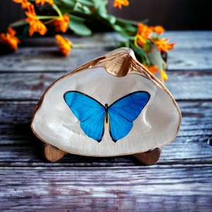 Butterfly Decoupage Clam Shell, Blue Morpho Butterfly Decor,sea Shell ...