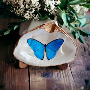 Butterfly Decoupage Clam Shell, Blue Morpho Butterfly Decor,sea Shell ...