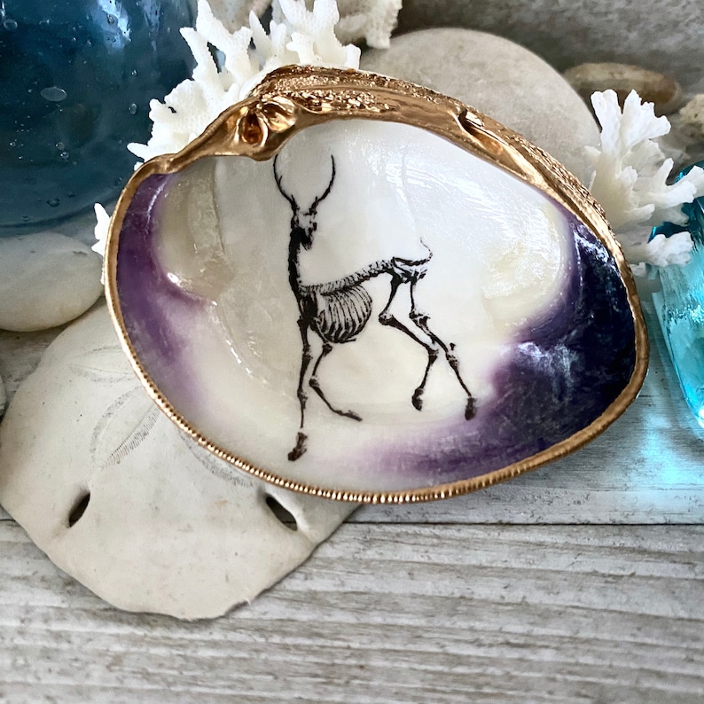 Skeleton Art Gothic Art Clam Shell Dish Decoupage Shell | Etsy