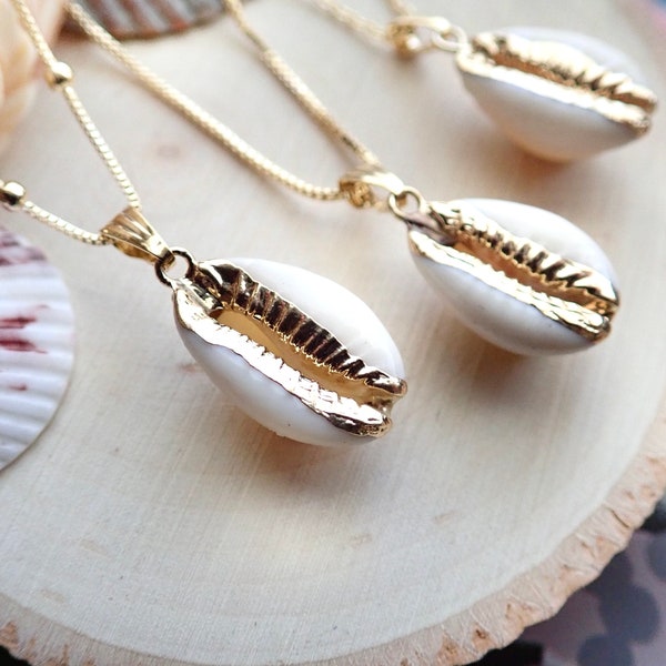 Real Seashell - Etsy