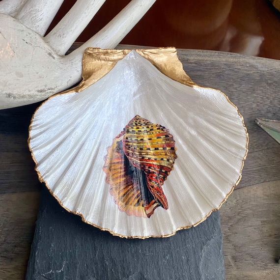 Scallop Shell Painting