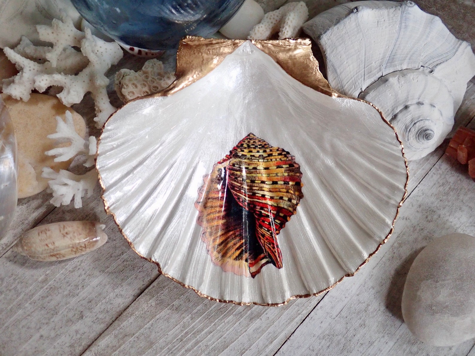 Gold Scallop Shell Seashell Decoupage Sea Shell Dish Ring | Etsy