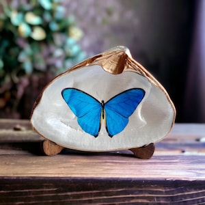 Butterfly Decoupage Clam Shell, Blue Morpho Butterfly Decor,sea Shell ...