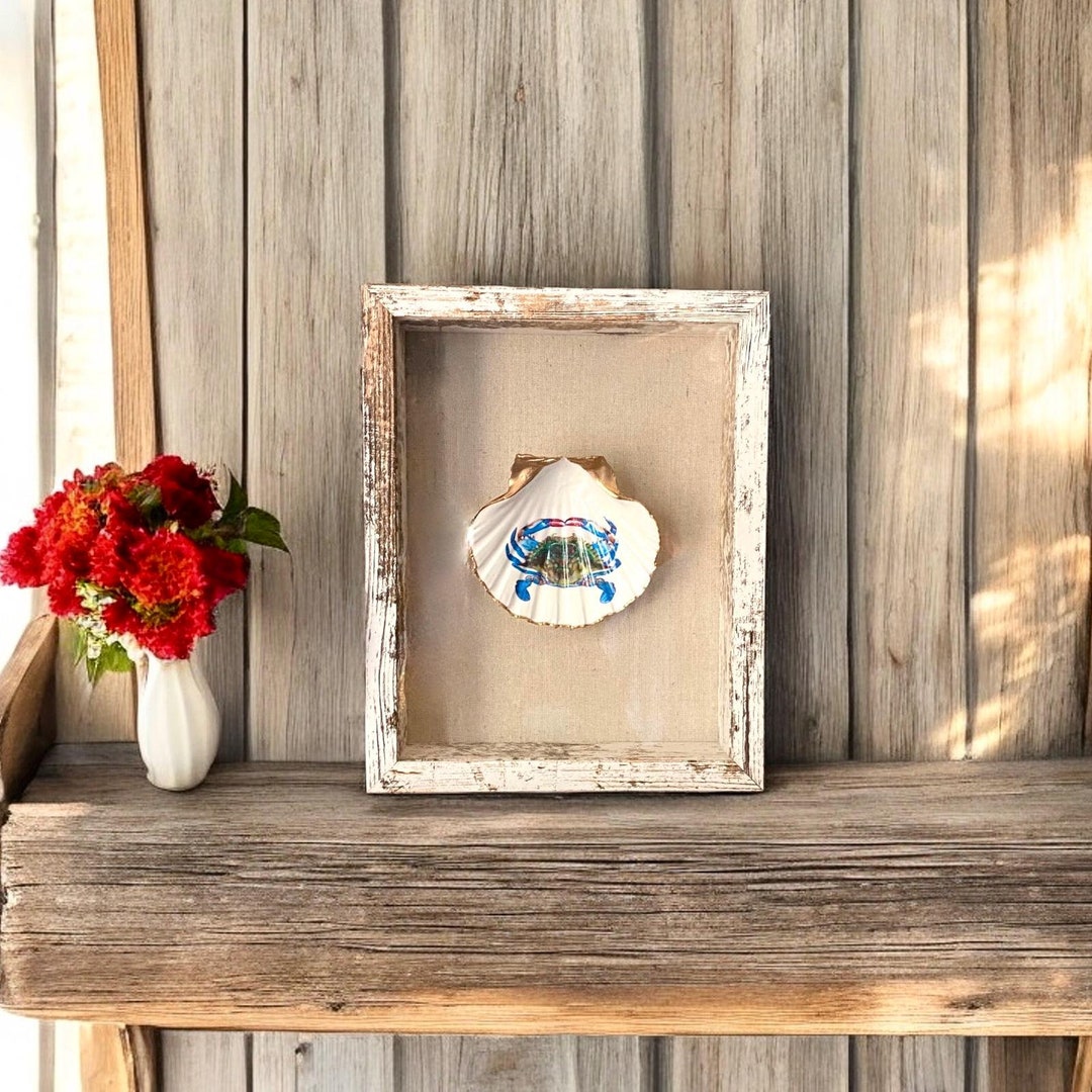Seashell Shadow Box, Coastal Decor Wall Art, Shells Framed, Beach House ...