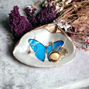 Butterfly Decoupage Clam Shell, Blue Morpho Butterfly Decor,sea Shell ...