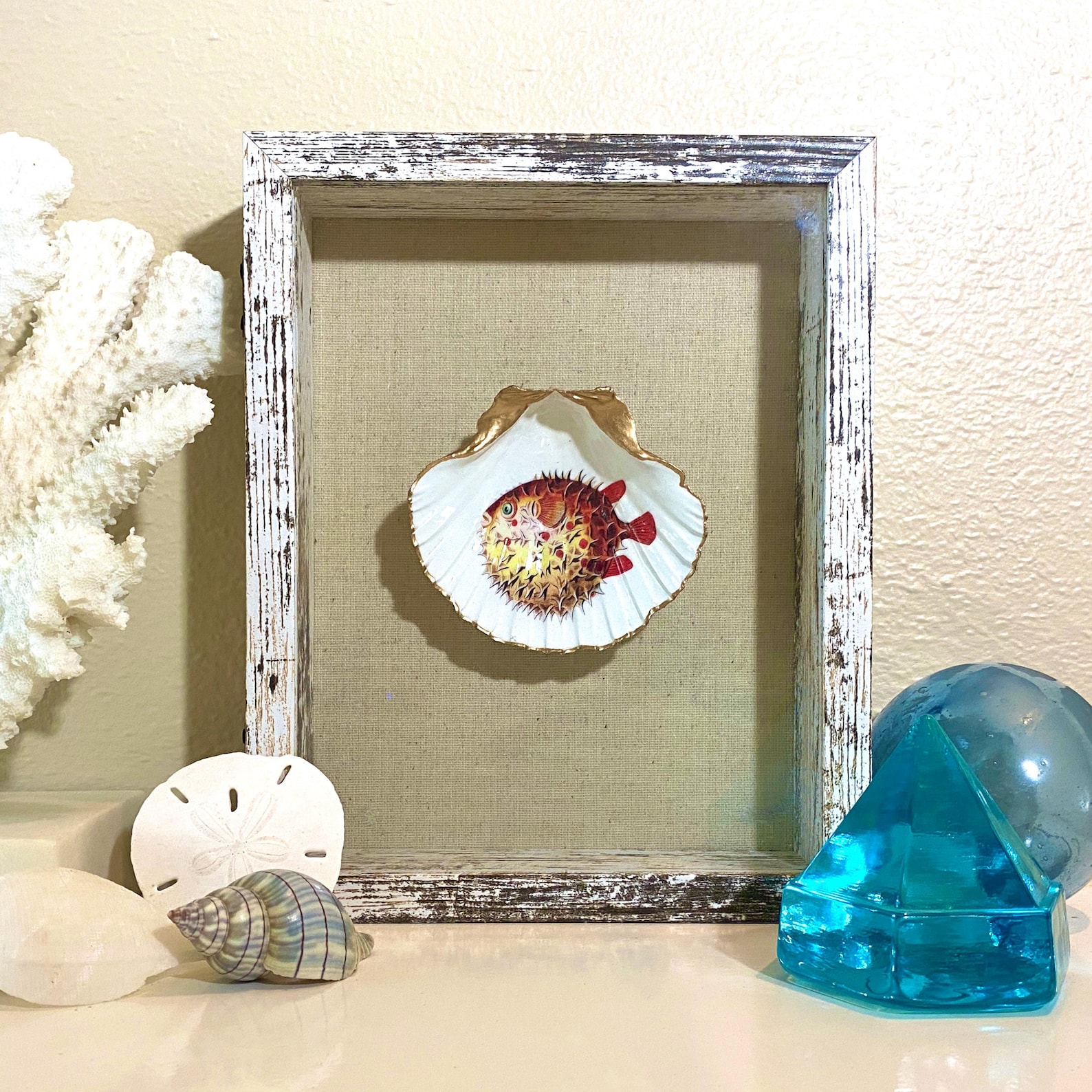 Seashell Shadow Box, Coastal Decor Wall Art, Shells Framed, Beach House ...