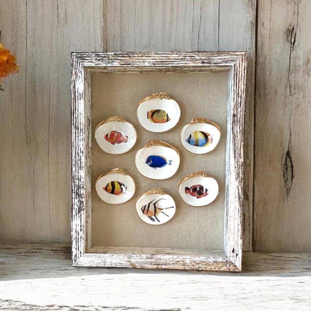 Seashell Shadow Box, Tropical Fish Decor, Coastal Decor Wall Hanging ...