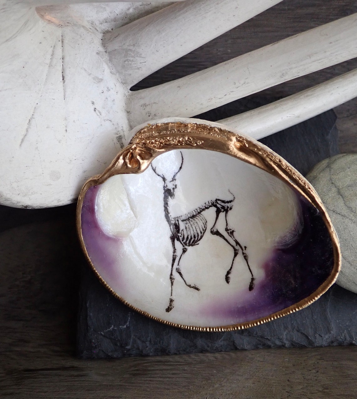 Skeleton Art Gothic Art Clam Shell Dish Decoupage Shell | Etsy