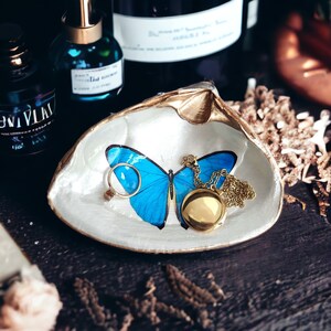 Butterfly Decoupage Clam Shell, Blue Morpho Butterfly Decor,sea Shell ...