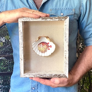 Seashell Shadow Box, Tropical Fish Decor, Coastal Decor Wall Hanging ...