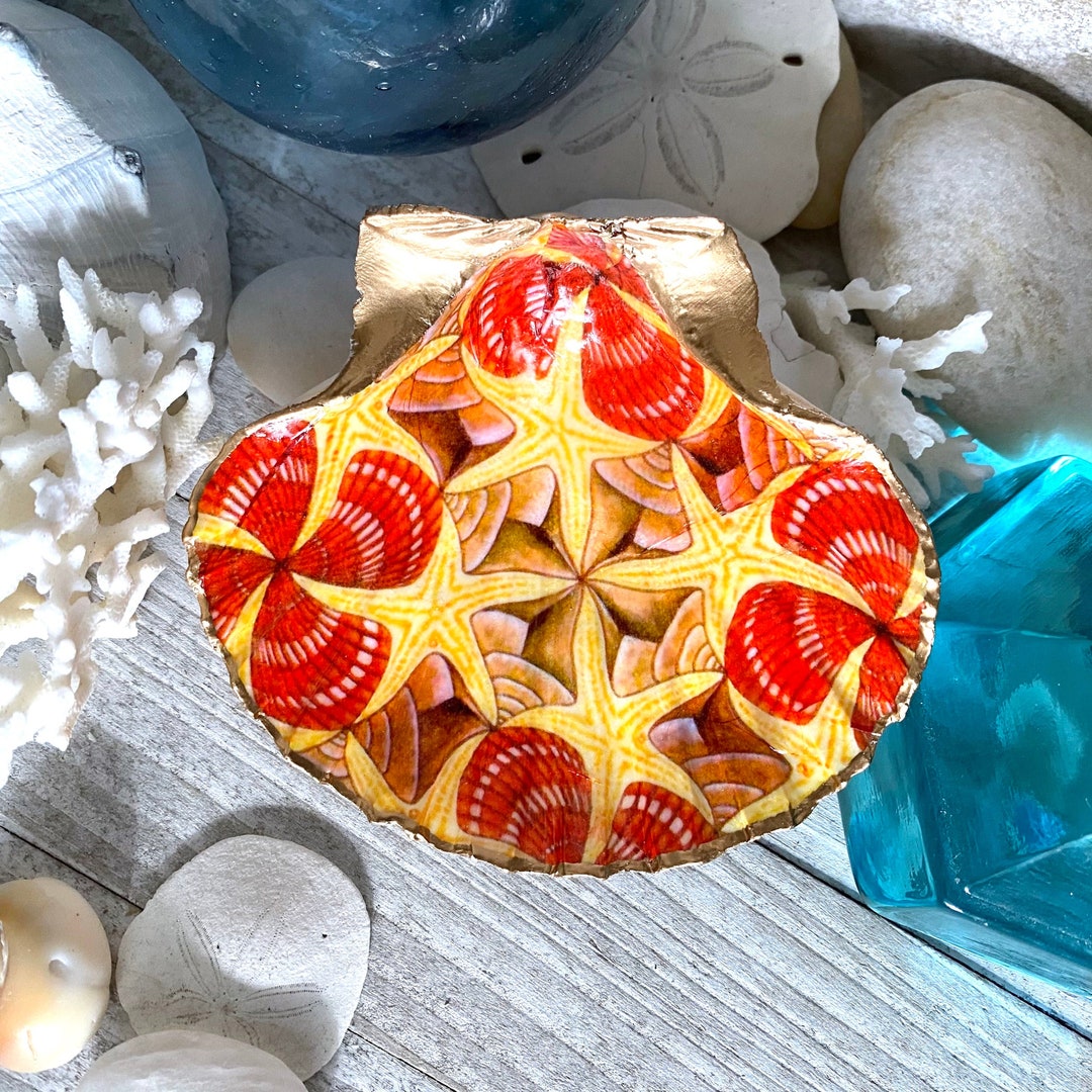 Scallop Shell Dish, Starfish Shell, Decoupage Scallop, Trinket Dish ...