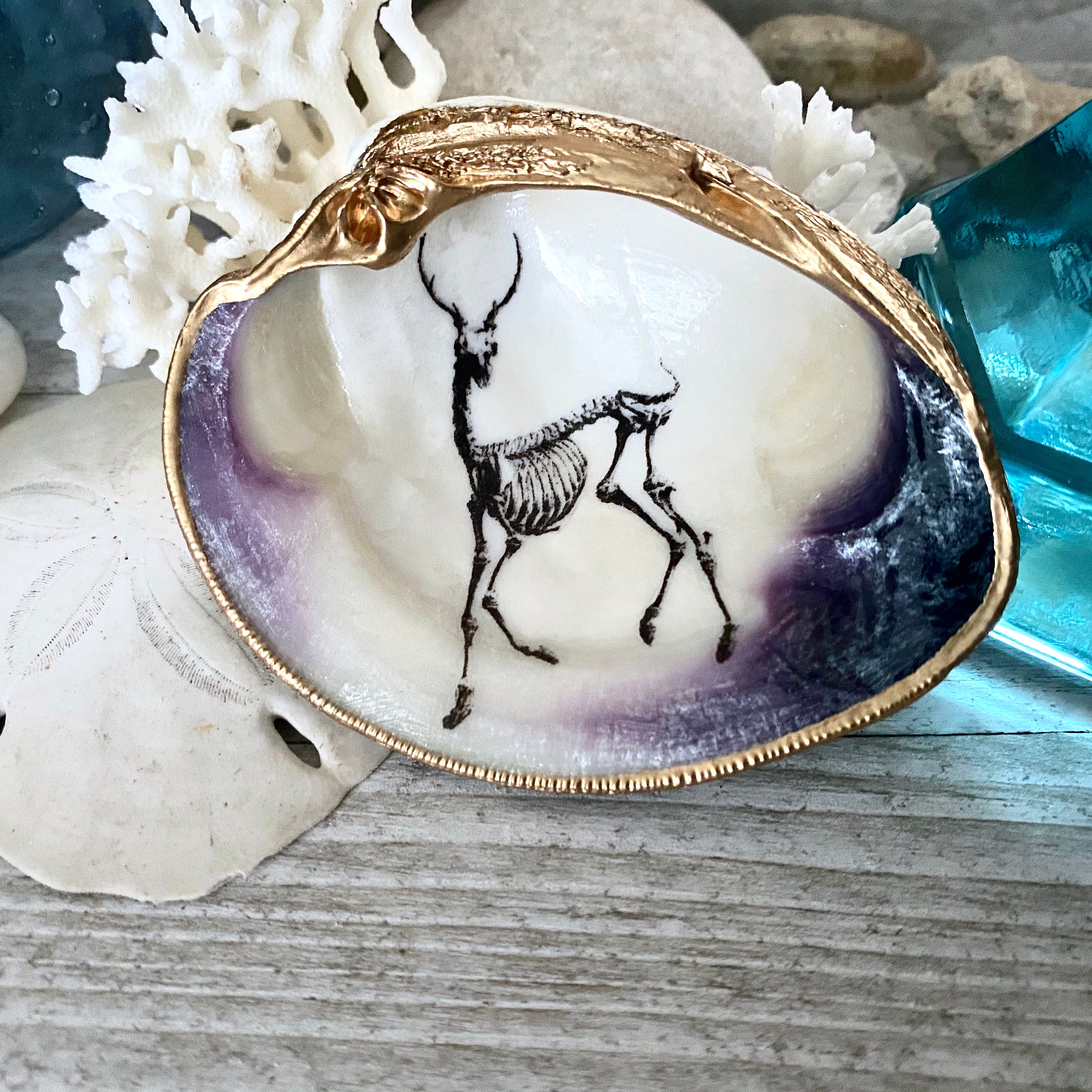 Skeleton Art Gothic Art Clam Shell Dish Decoupage Shell | Etsy