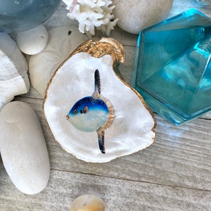Oyster Bowl,decoupage Oyster Shell, Ocean Sunfish Dish,hostess Gift ...