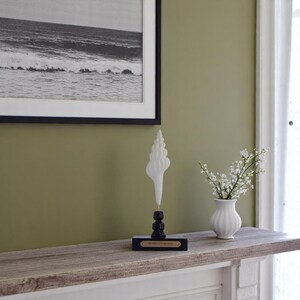 Mounted Shell Sculpture, Sea Shell on Stand, Tropical Shell Display ...