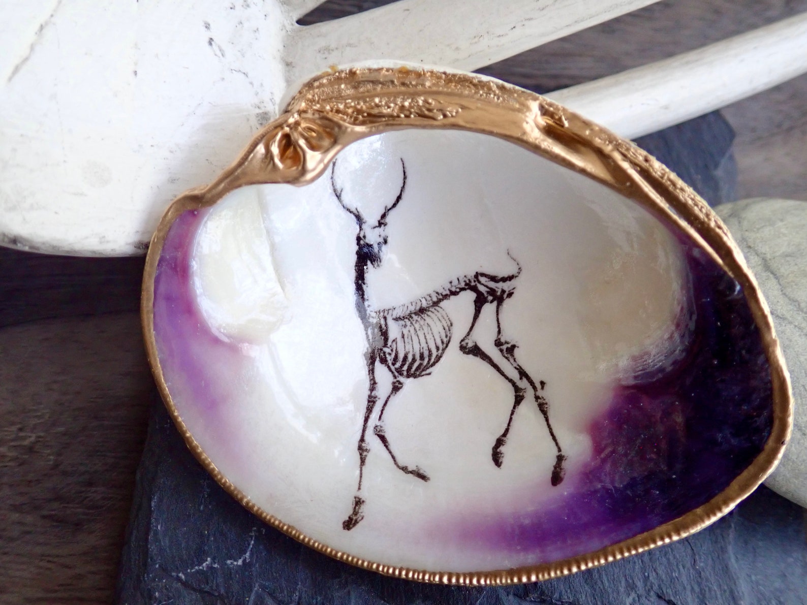 Skeleton Art, Gothic Art, Clam Shell Dish, Decoupage Shell, Trinket ...