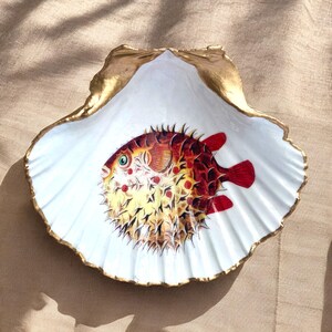 Puffer Fish Art, Coastal Decor Wall Art, Shells Framed, Seashell Shadow ...