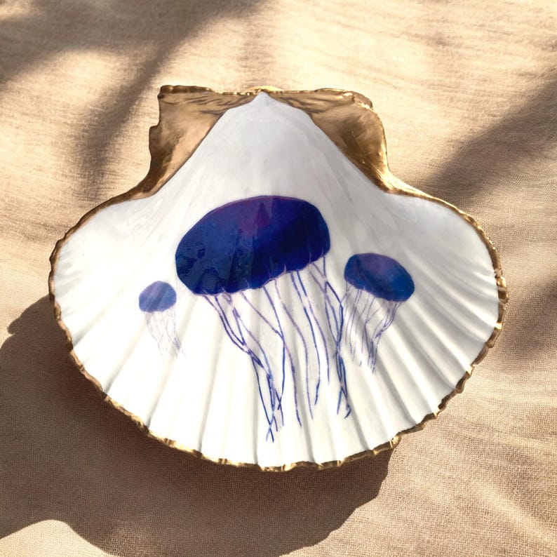 Coastal Decor Wall Art, Shells Framed, Seashell Shadow Box, Beach House ...