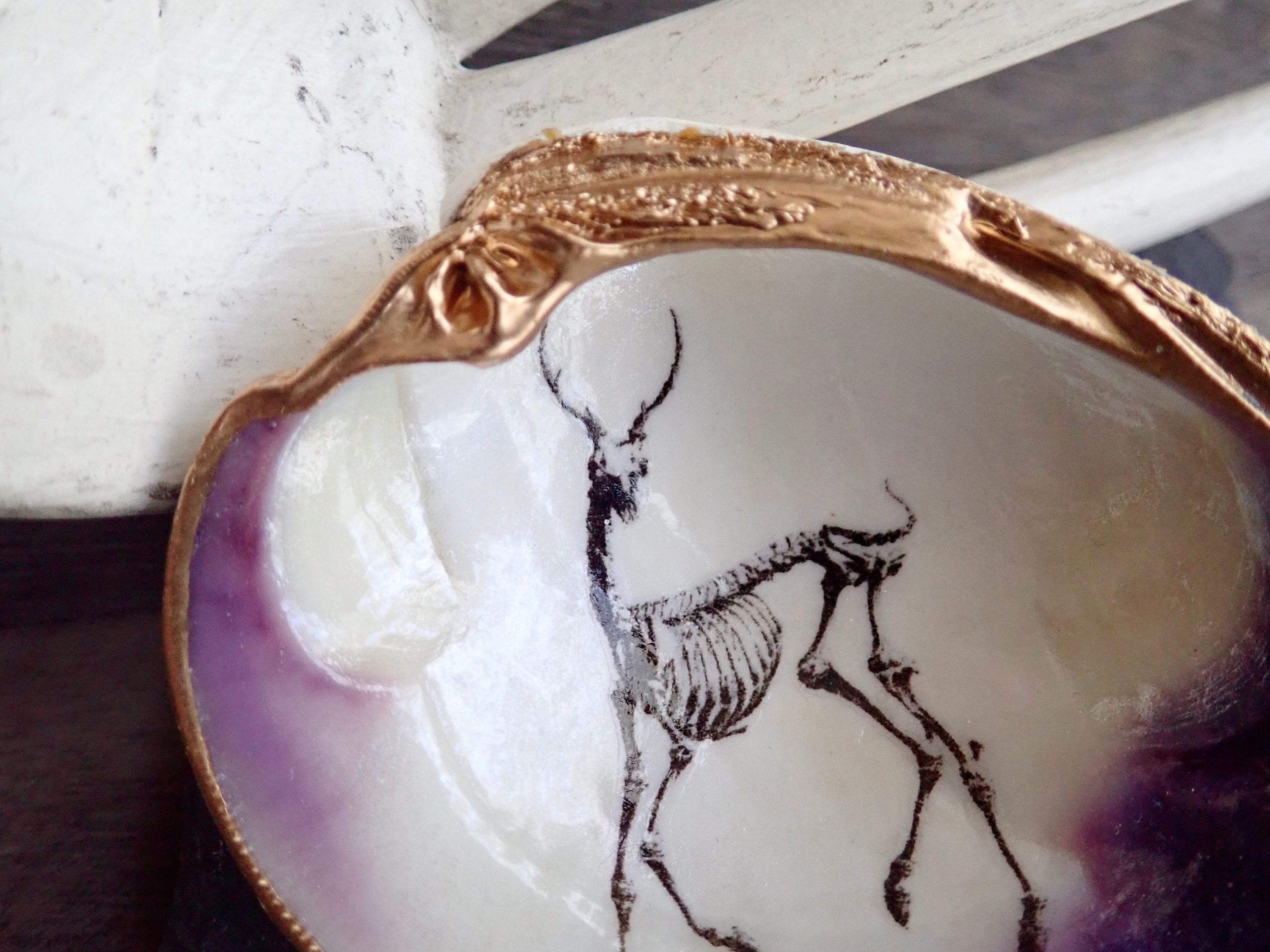 Skeleton Art Gothic Art Clam Shell Dish Decoupage Shell | Etsy