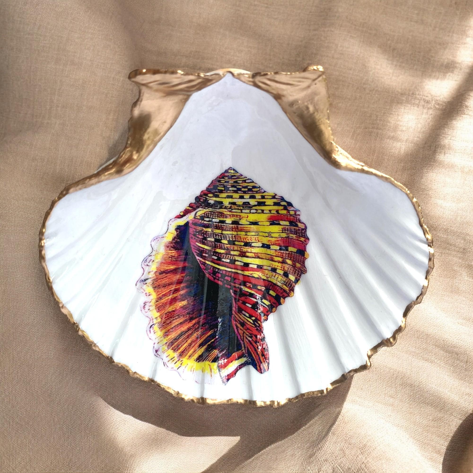 Seashell Shadow Box, Coastal Decor Wall Art, Shells Framed, Beach House ...