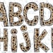 Alphabet Png Files Leopard Doodle Letters Cheetah Letters Png Hand ...