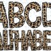 Alphabet Png Files Leopard Doodle Letters Cheetah Letters Png Hand ...