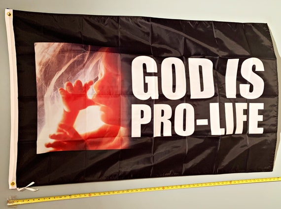 Pro Life Flag FREE SHIPPING Unborn Lives Matter God is Pro - Etsy